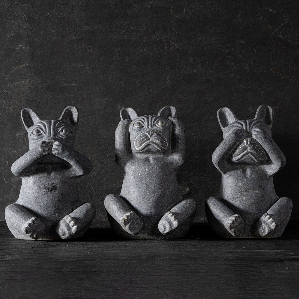 Three Wise Dogs – paarkhi